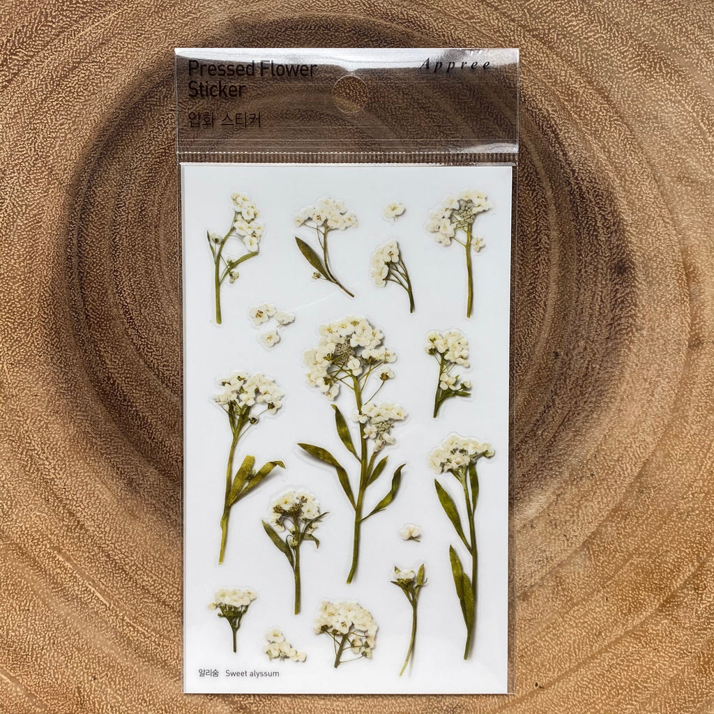 Appree Pressed Flower Sticker, White – a blank note